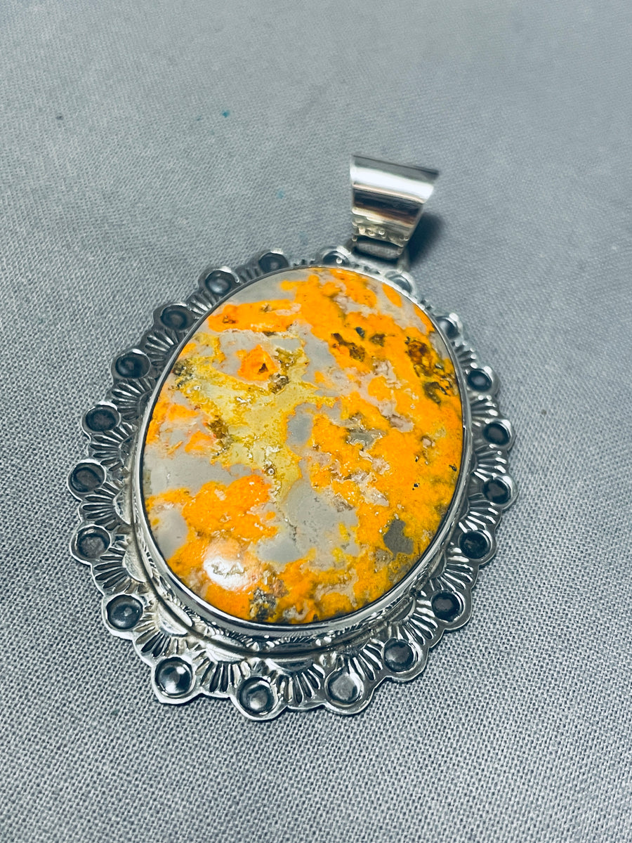 Unique San Felipe Honeybee Jasper Sterling Silver Pendant – Nativo Arts